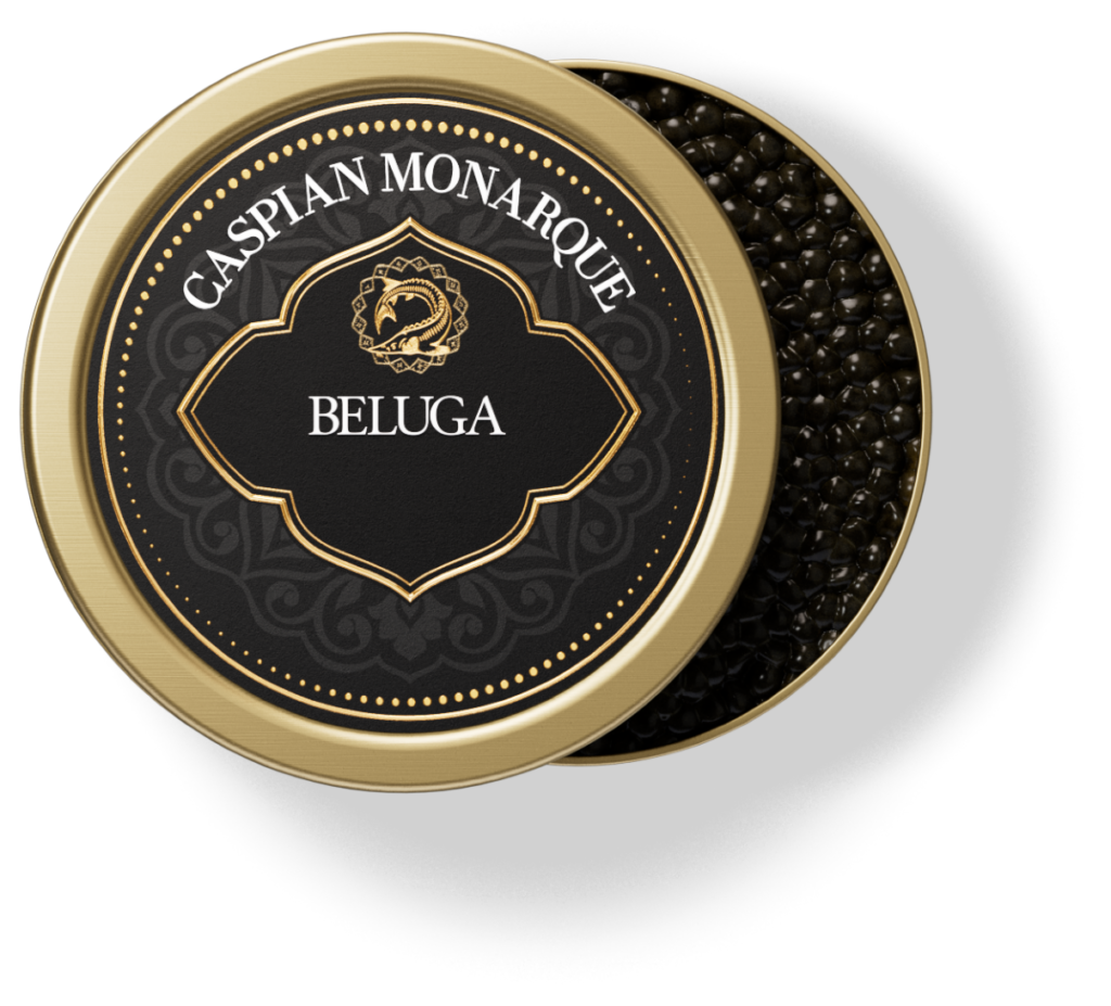 Home - Caspian Monarque